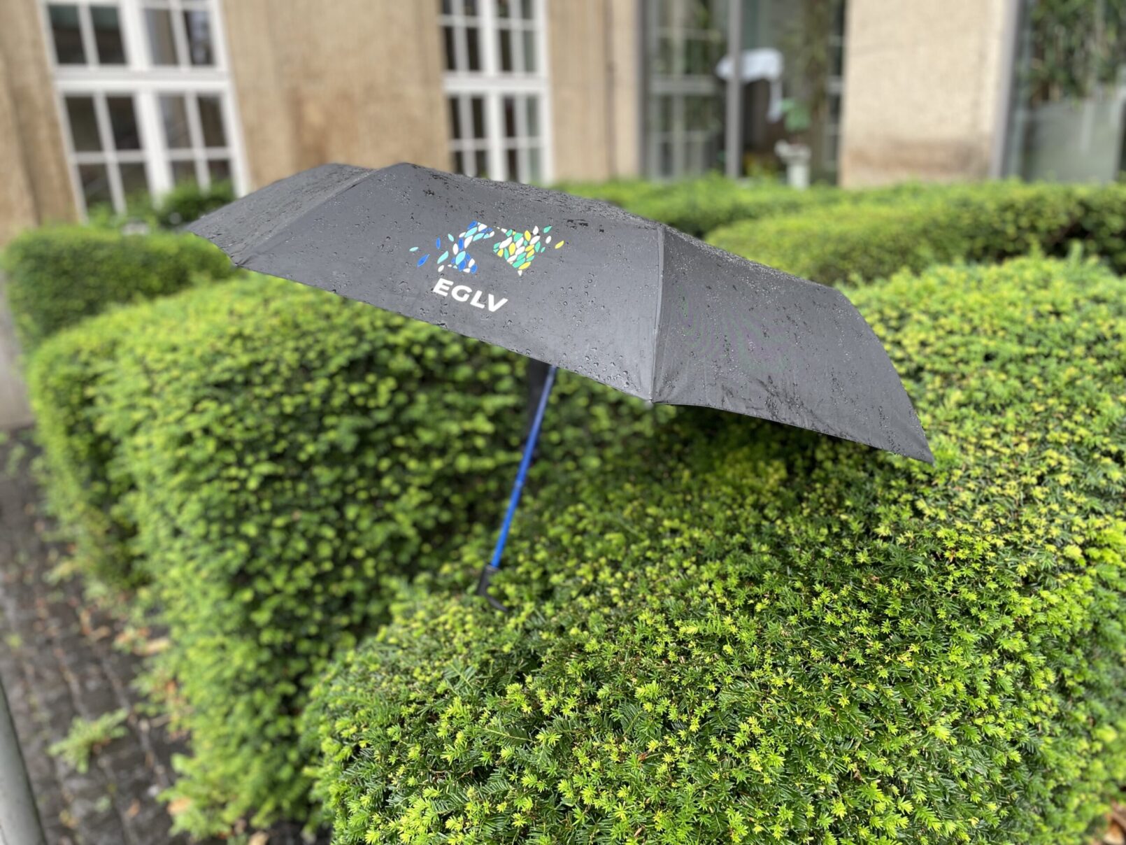 Meteorologischer Sommer fiel ins Wasser - eglv